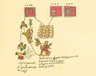 Did a Salmonella Outbreak Slaughter the Aztecs in 1545?