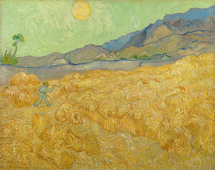 Why Are We So Obsessed With Van Gogh’s Last Paintings?
