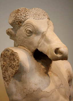 What Is the Minotaur?