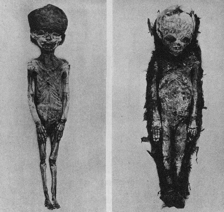 Did Tutankhamun Suffer From Malaria? Here’s What His DNA Tells Us