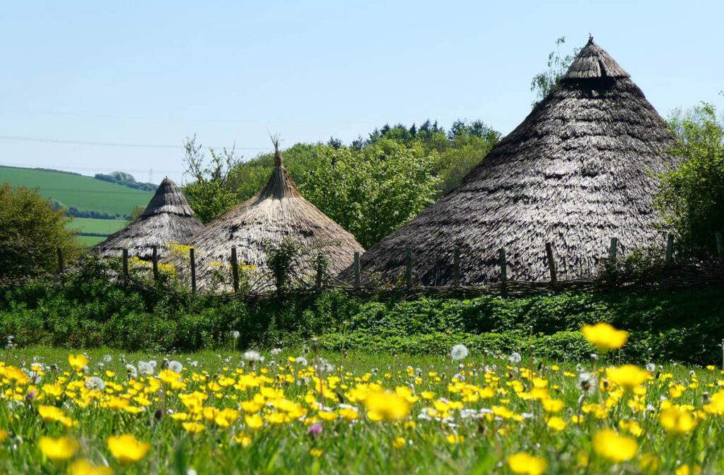 What Were Homes Like in Ancient Rome? (4 Types)