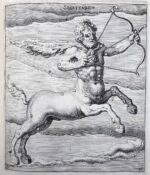 Who Is Chiron in Greek Mythology?