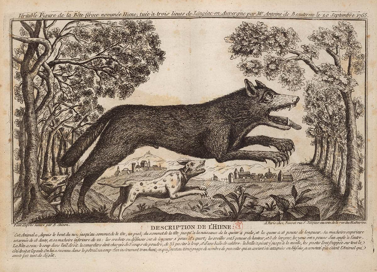 The Beast of Gevaudan: Hunting the Monster of 18th Century France