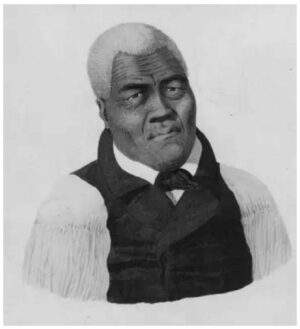 The History of Native Hawaiians