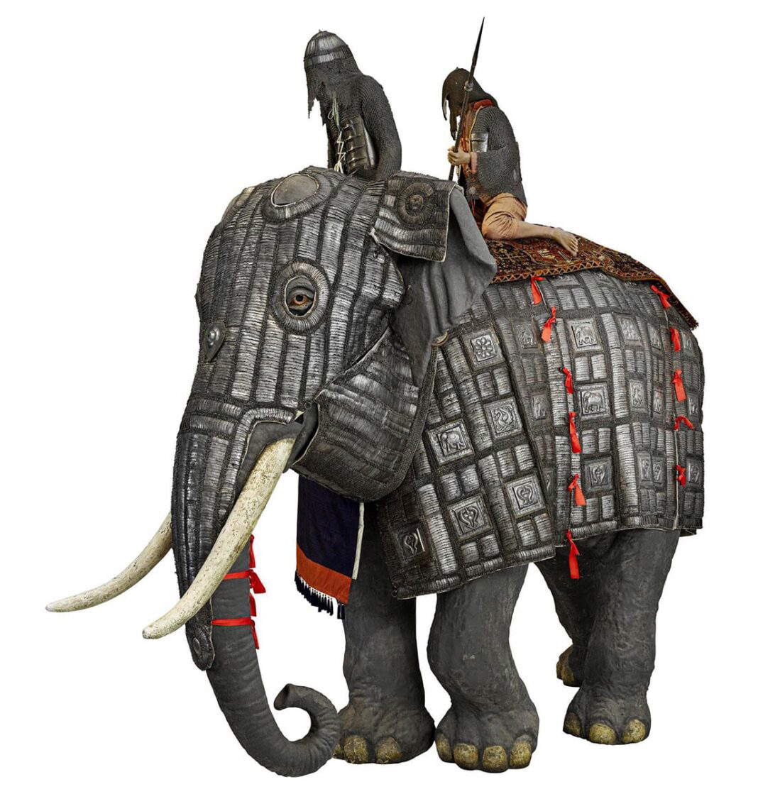 Animals in War: 7 Examples of Animals Fighting in Human Conflict