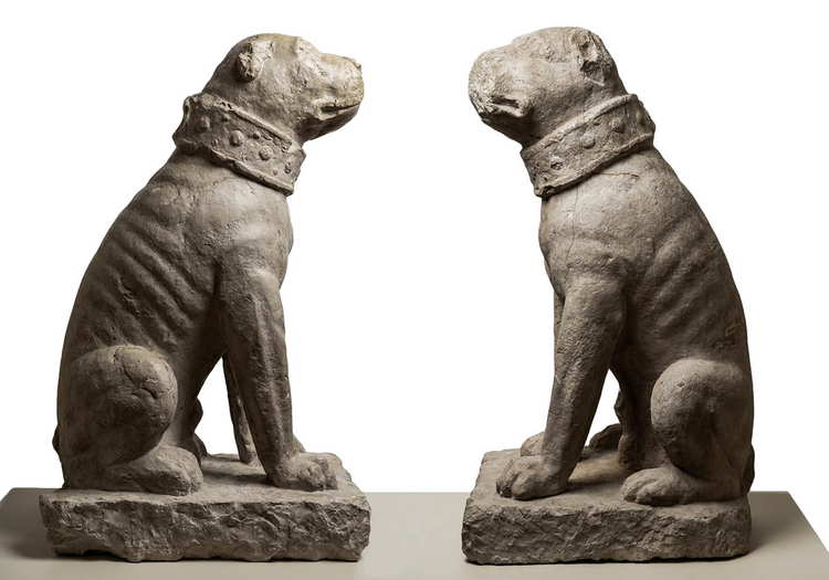 Animals in War: 7 Examples of Animals Fighting in Human Conflict
