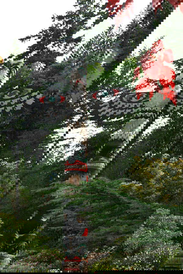 The History of Native Americans in the Northwest