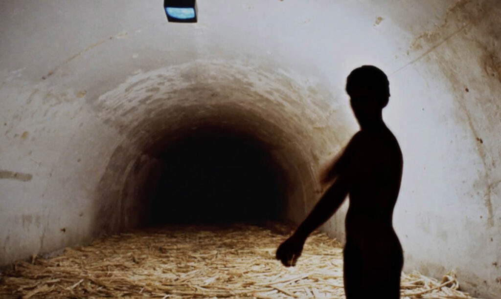 The Political Art of Tania Bruguera
