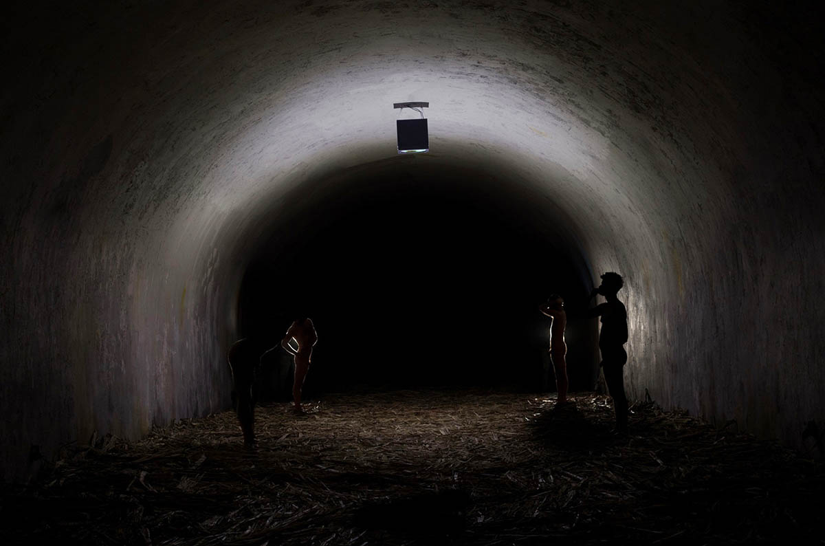 The Political Art of Tania Bruguera | TheCollector