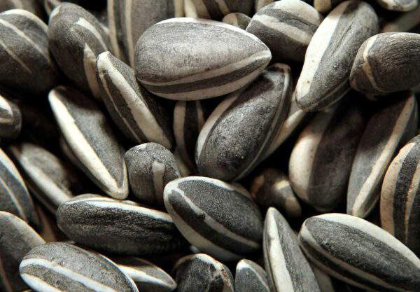 Why Did Ai Weiwei Make ‘Sunflower Seeds’?