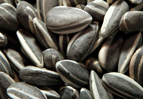 Why Did Ai Weiwei Make ‘Sunflower Seeds’?