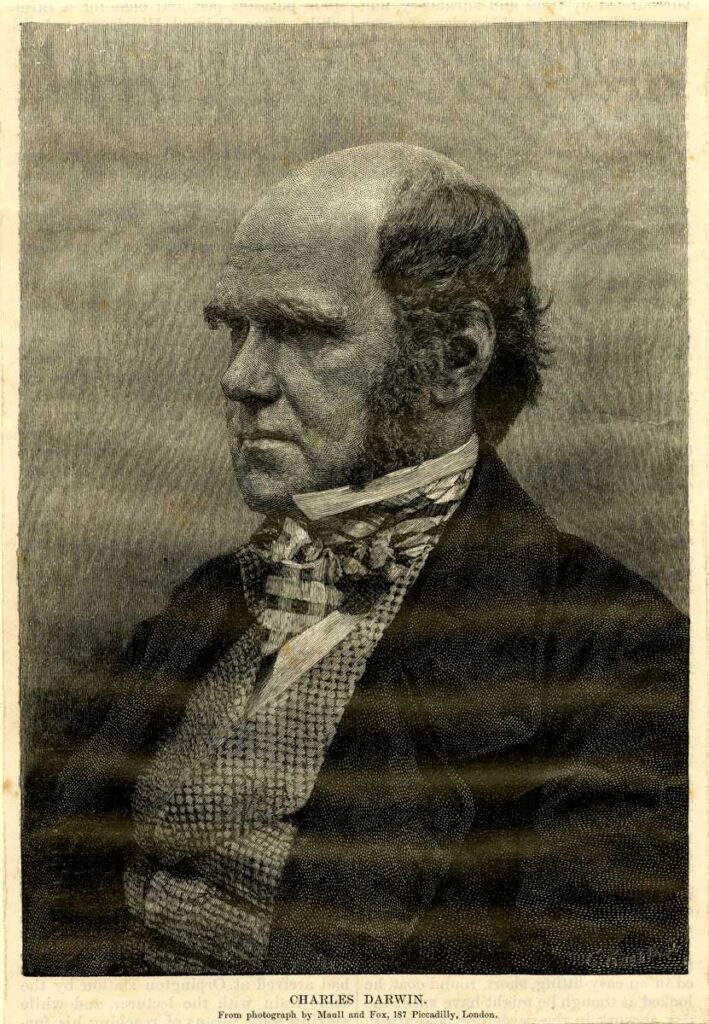 On the Origin of Species: Why Did Charles Darwin Write It?