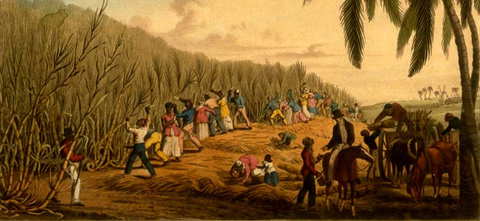 The Flying Africans: Returning Home in African American Folklore