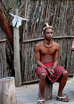4 Fascinating South African Languages (Sotho-Venda Group)