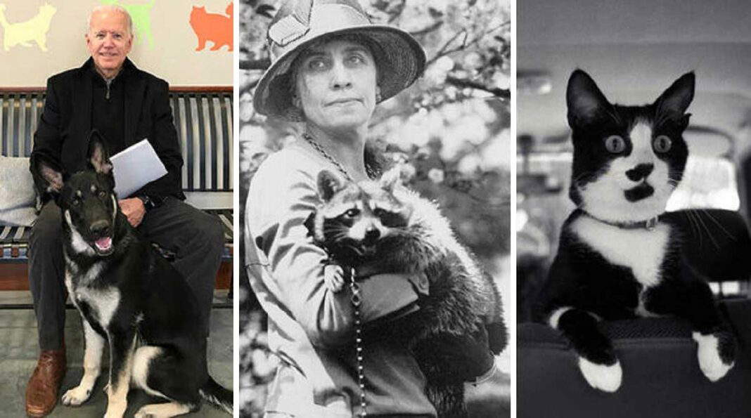 5 Unusual Facts about US Presidents You Probably Didn’t Know