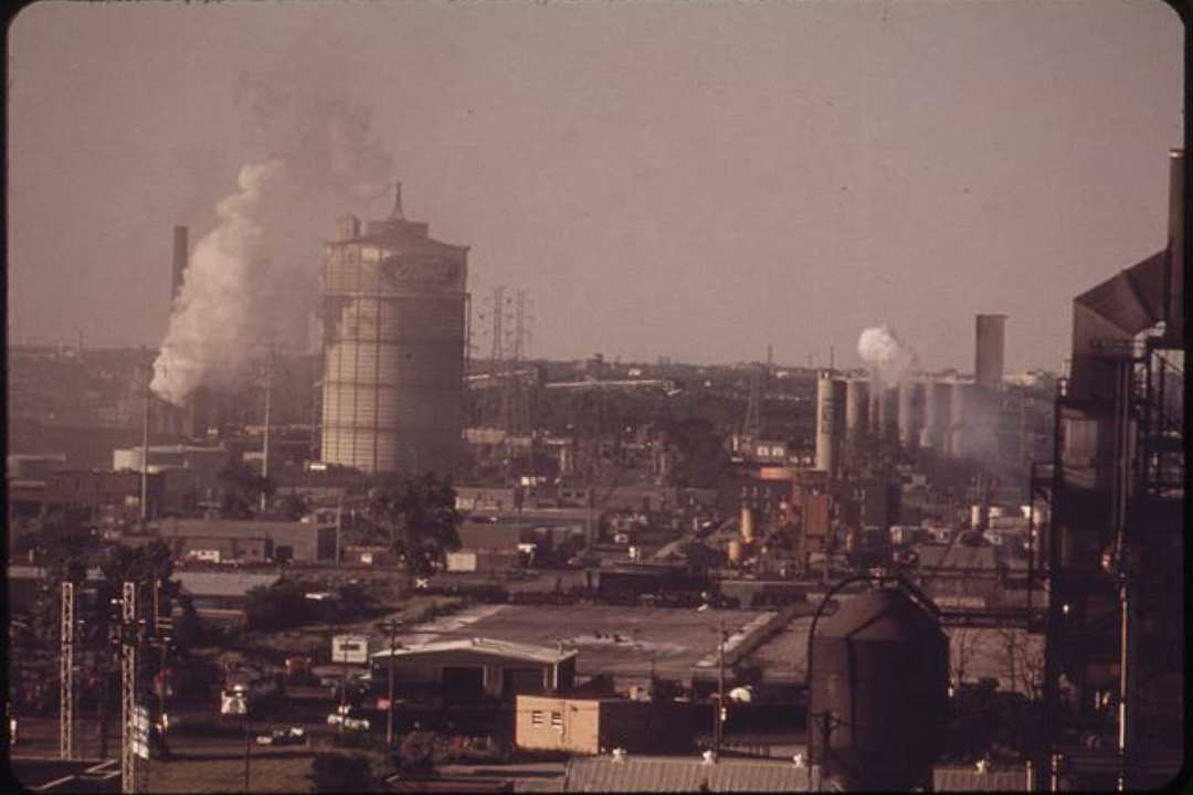 The 20th Century Environmental Movement in the US