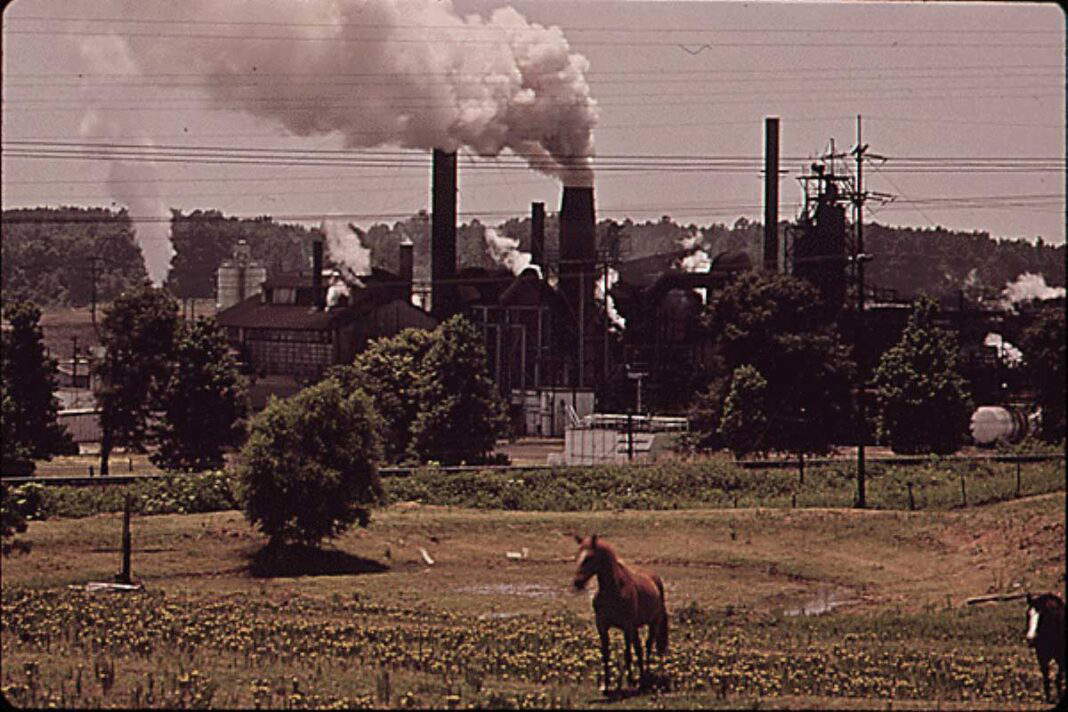 The 20th Century Environmental Movement in the US