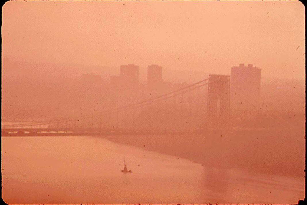 The Troubles of Pollution: Environmental Impact of Industrialization