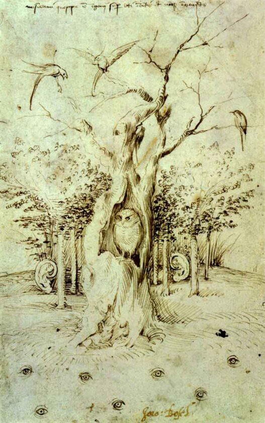 The Mysterious Drawings of Hieronymus Bosch