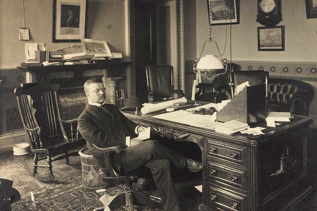 The Political Impacts of the American Industrial Revolution