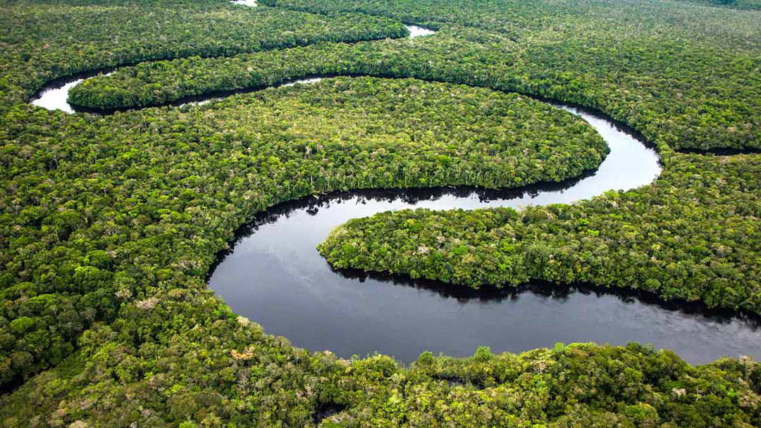 What Are the 5 Longest Rivers in the World?