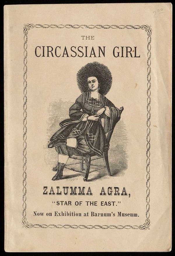 Uncovering the Truth Behind Barnum’s Circassian Beauties Hoax