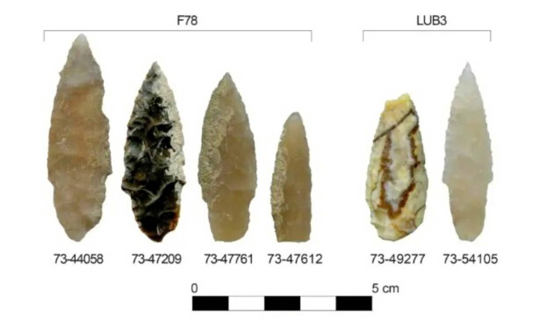 Americas Oldest Weapon Discovered By The Archaeologists In Idaho