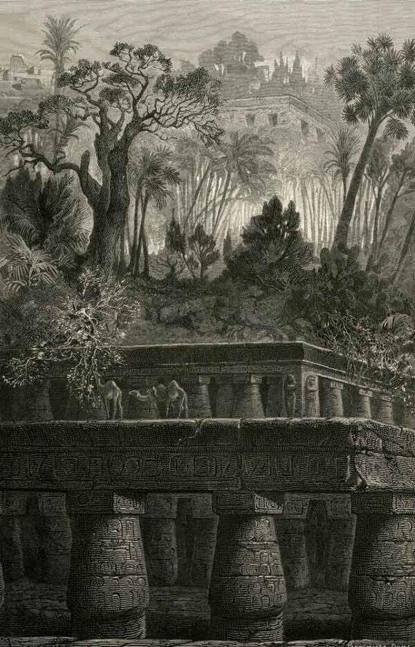 The Hanging Gardens of Babylon: The Elusive Ancient Wonder