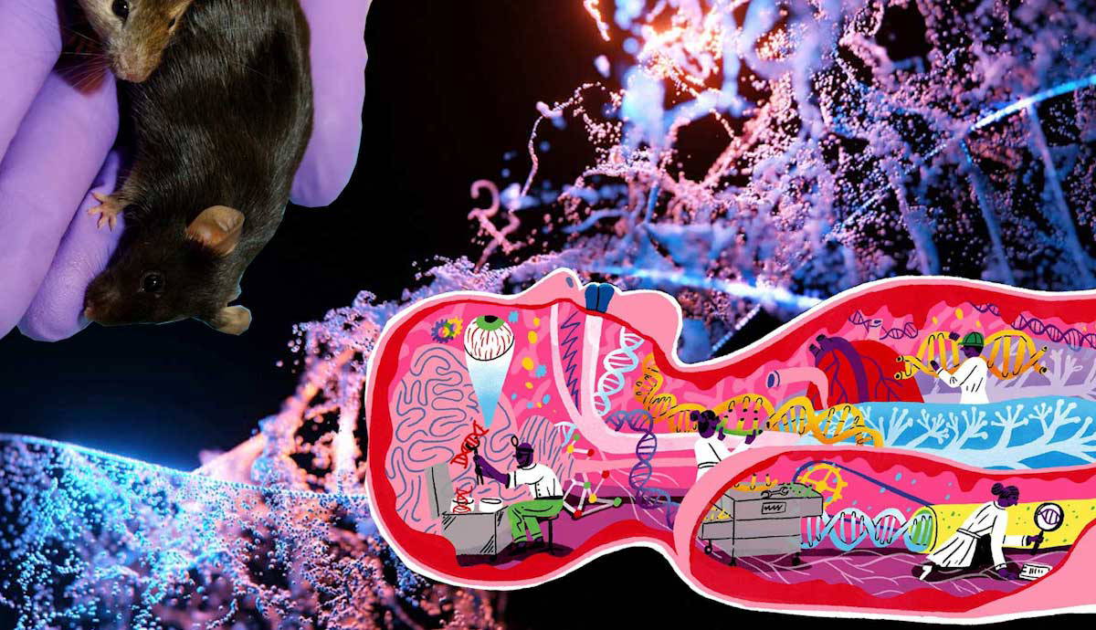 Genetic Engineering: Is It Ethical?