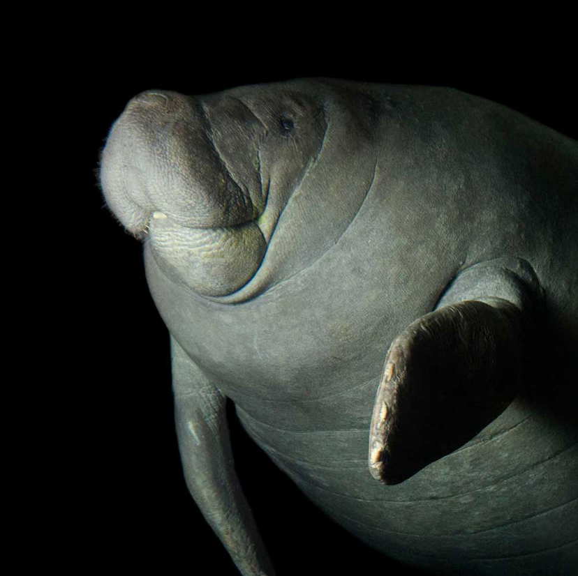 The Origins of 5 Famous Sea Monsters and Water Legends
