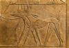 Dogs in Ancient Egypt: The Early Origins of Man’s Best Friend