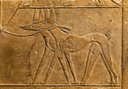 Dogs in Ancient Egypt: The Early Origins of Man’s Best Friend