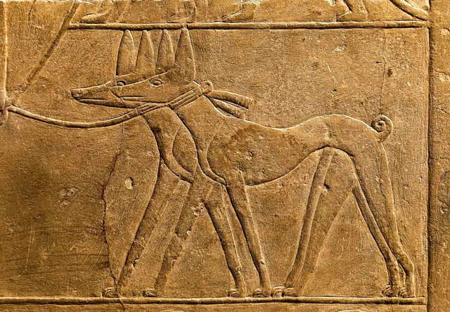 Dogs in Ancient Egypt: The Early Origins of Man’s Best Friend