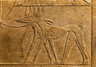 Dogs in Ancient Egypt: The Early Origins of Man’s Best Friend