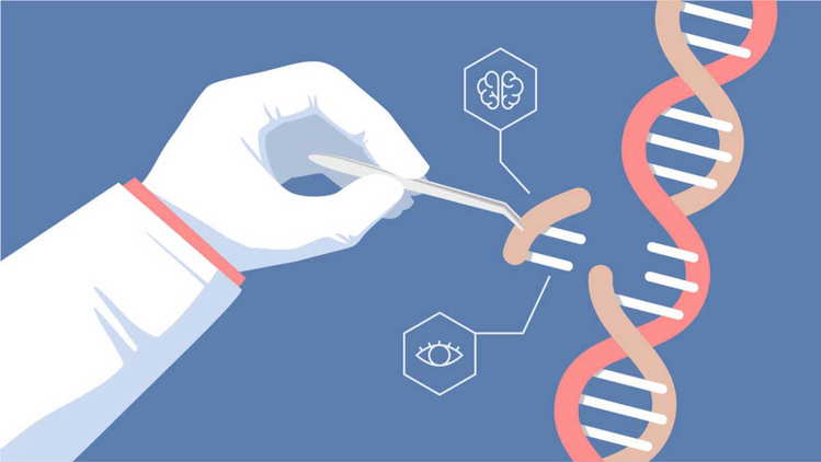 Genetic Engineering: Is It Ethical?