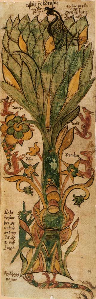 How does the Nordic Cosmic System Depend on the Yggdrasil Tree?