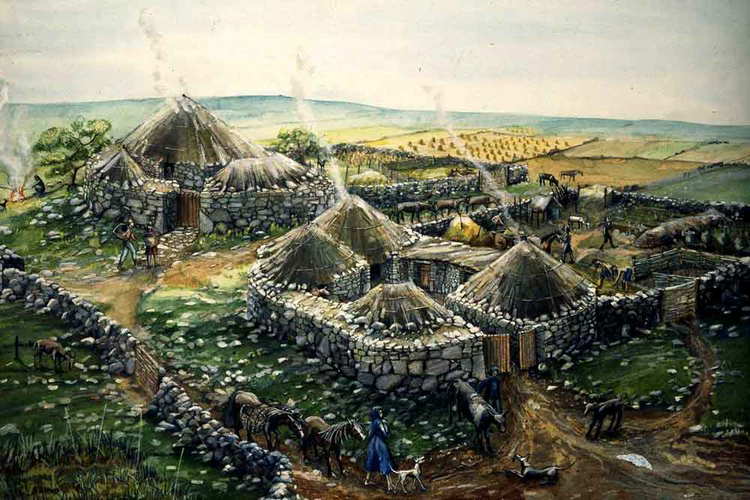 What Was the Society of the Celts Like?