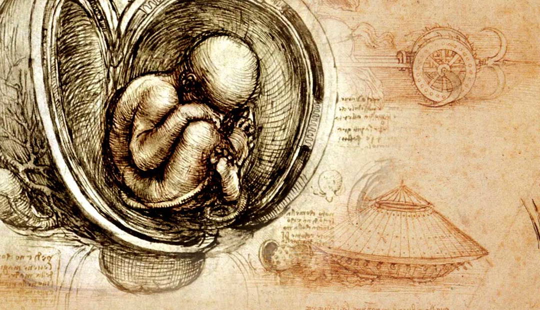 How Leonardo da Vinci’s Notebooks Transcend Time