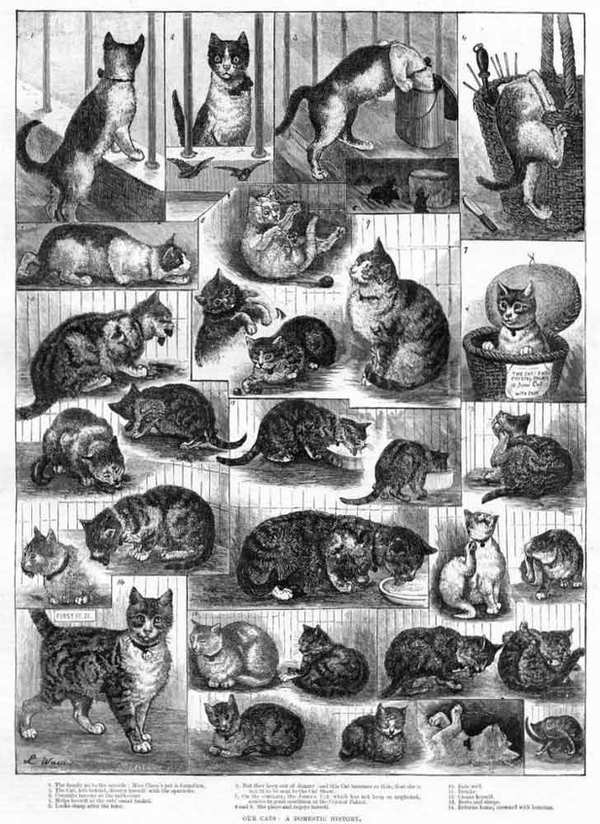 Louis Wain’s Art: From Cats and Ceramics to More Cats