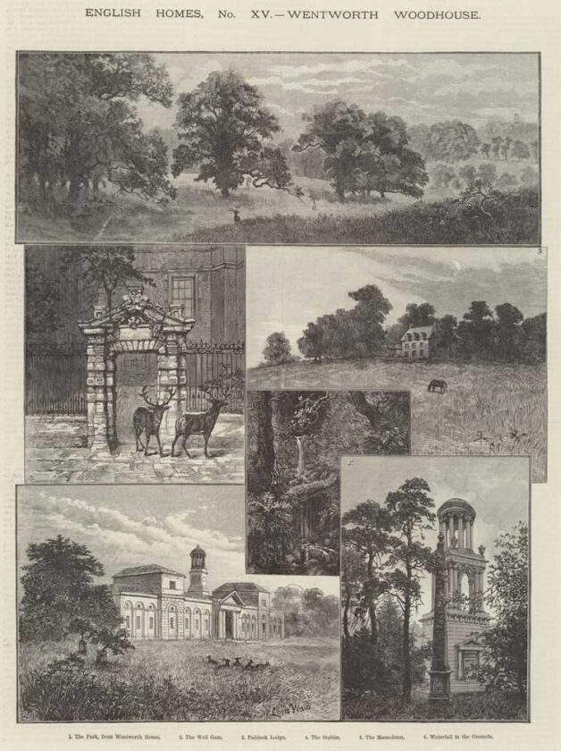 Louis Wain’s Art: From Cats and Ceramics to More Cats