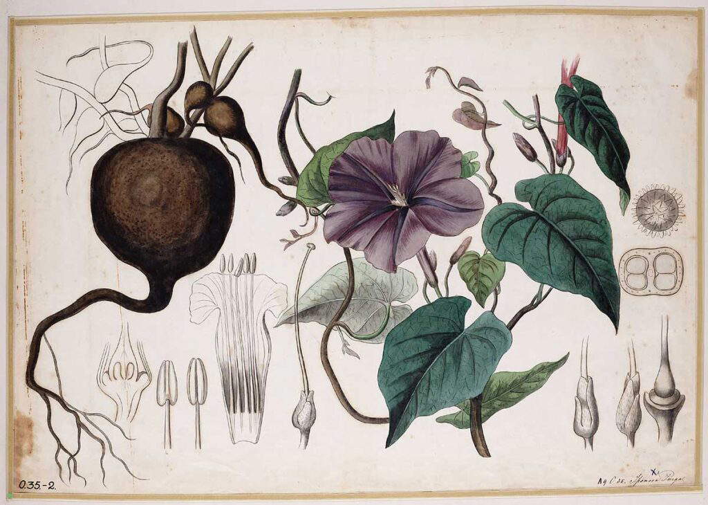 6 African Folklore Figures that Survived the Atlantic Slave Trade