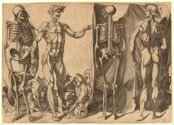Did Renaissance Artists Really Use Cadavers to Learn Anatomy?