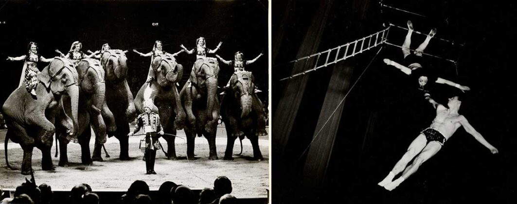 History of Circus: From Ancient Roots to Controversial Sensation