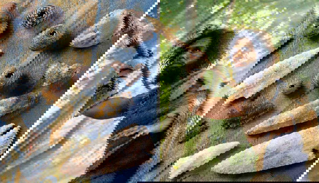 6 Incredible Inventions from Our Prehistoric Ancestors