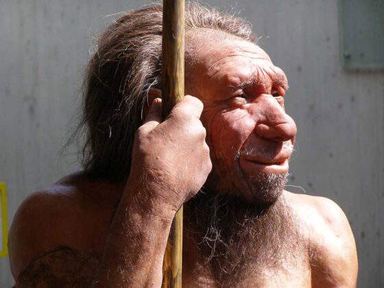 Who Were the Neanderthals & Why Are They Important to Modern Humans?