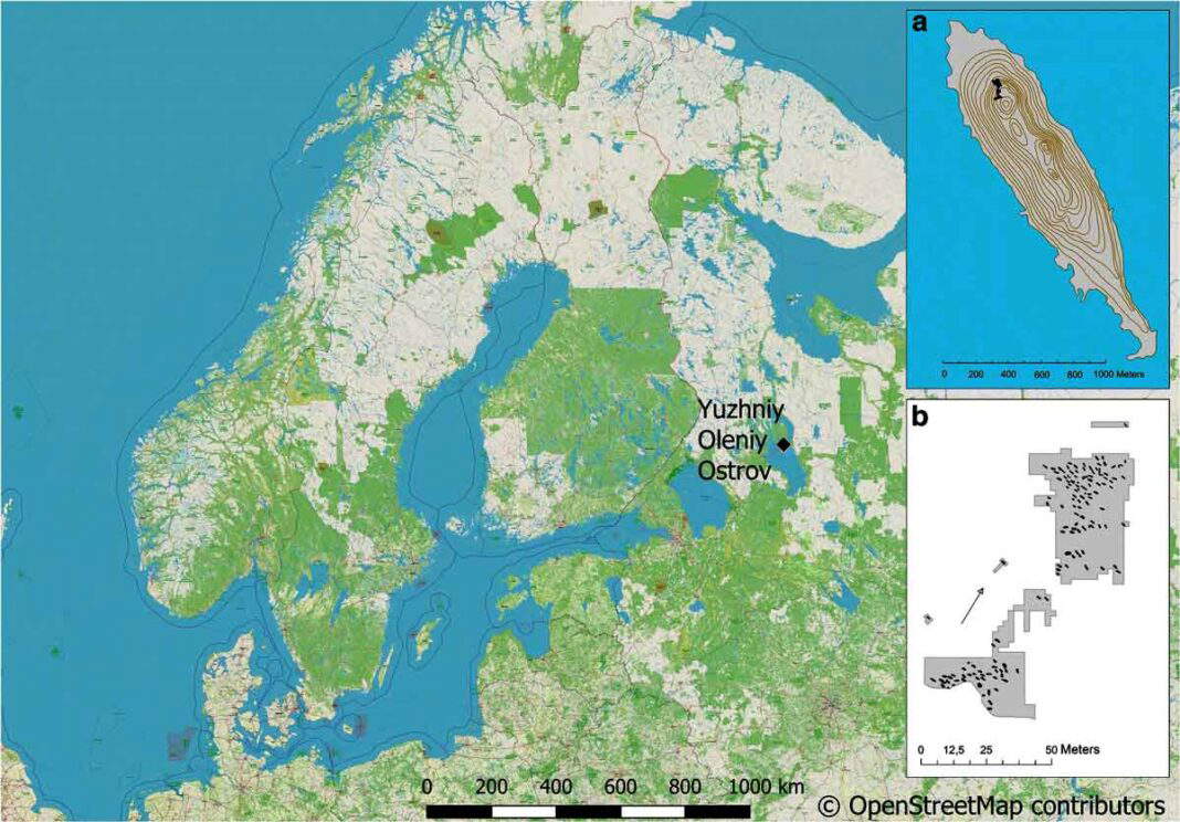 The Earliest Shamans: 4 Discoveries of Mesolithic Shamanism