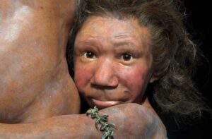 Who Were the Neanderthals & Why Are They Important to Modern Humans?