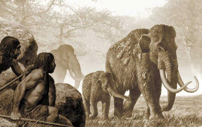 Who Were the Neanderthals & Why Are They Important to Modern Humans?