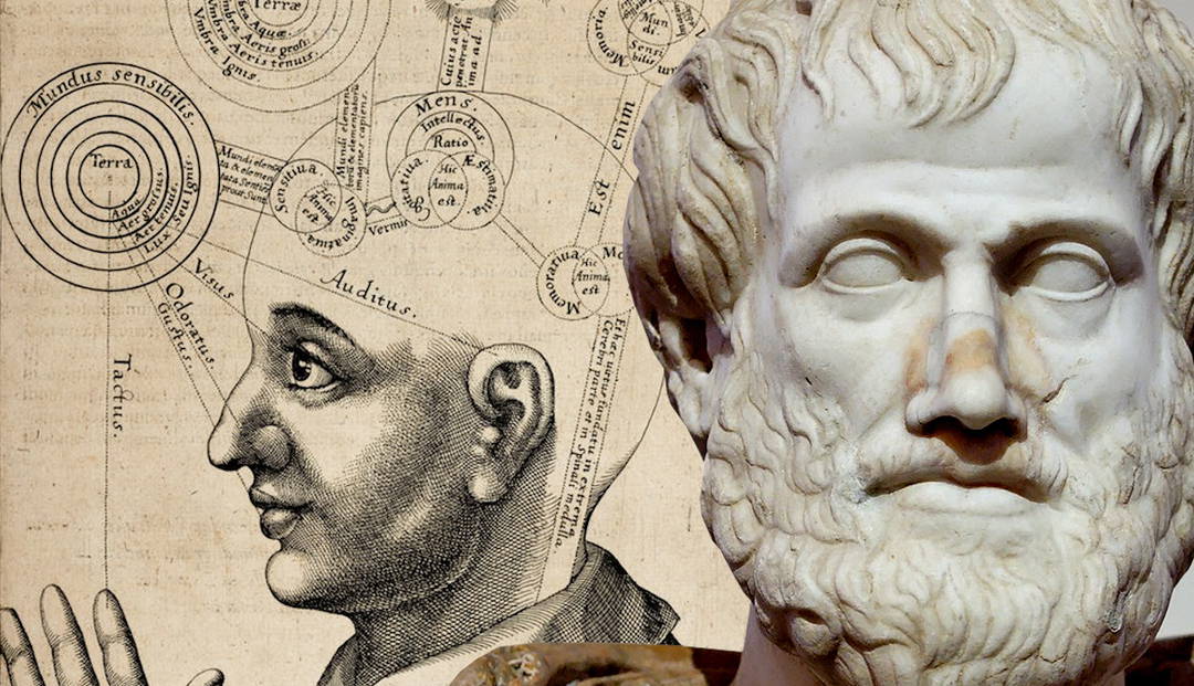 What Did Aristotle Say About the Mind?