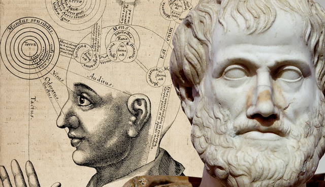 What Did Aristotle Say About the Mind?
